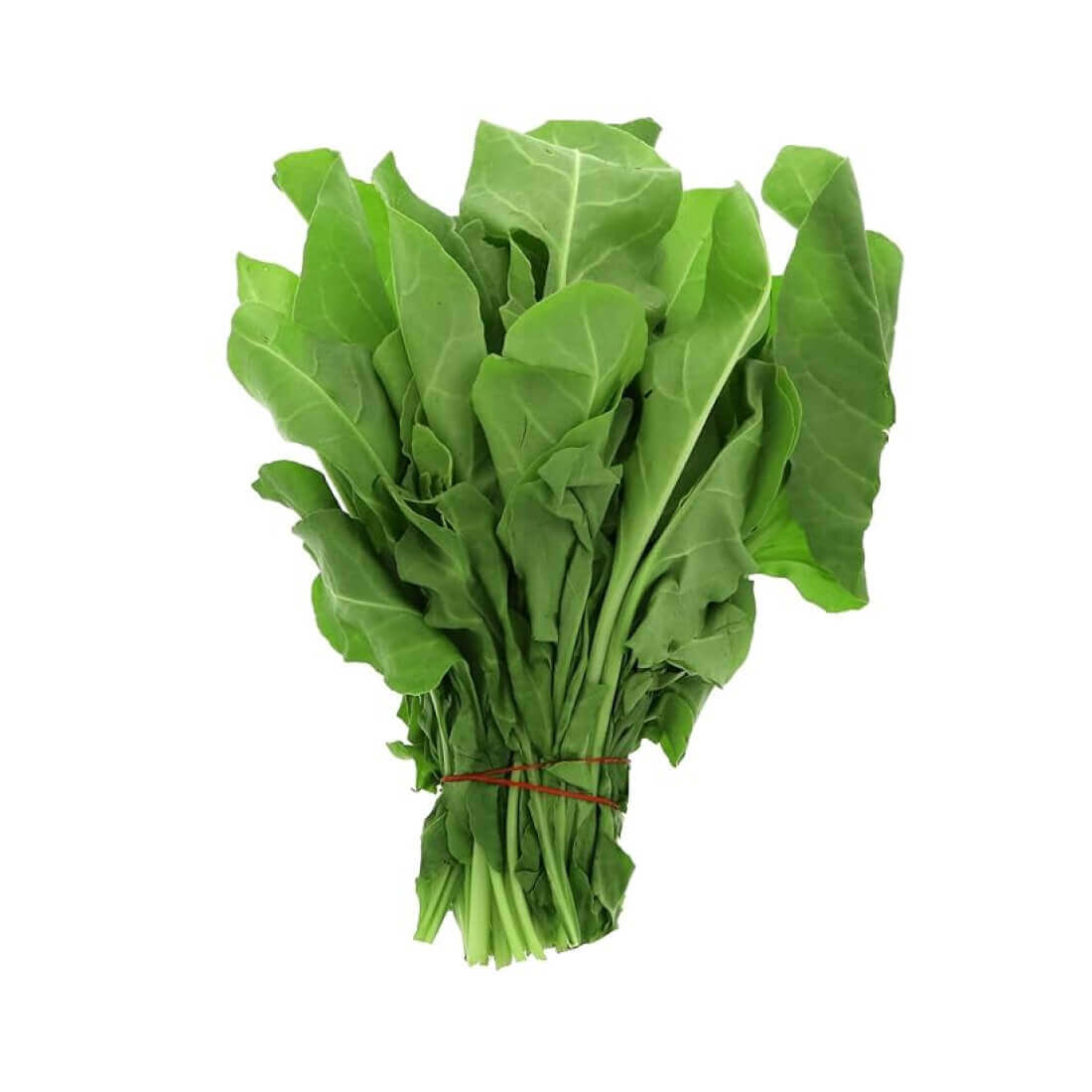 Plastipack | Envases, empaques y embalaje – Importador y distribuidor ...